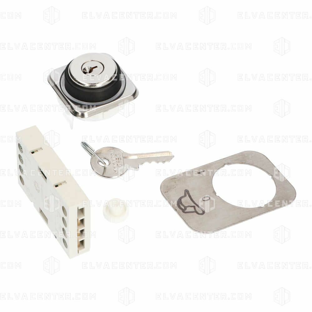 DMG, Key switch Light/dual light (key 08BC) 2 POS 2 REMOVE - not ...