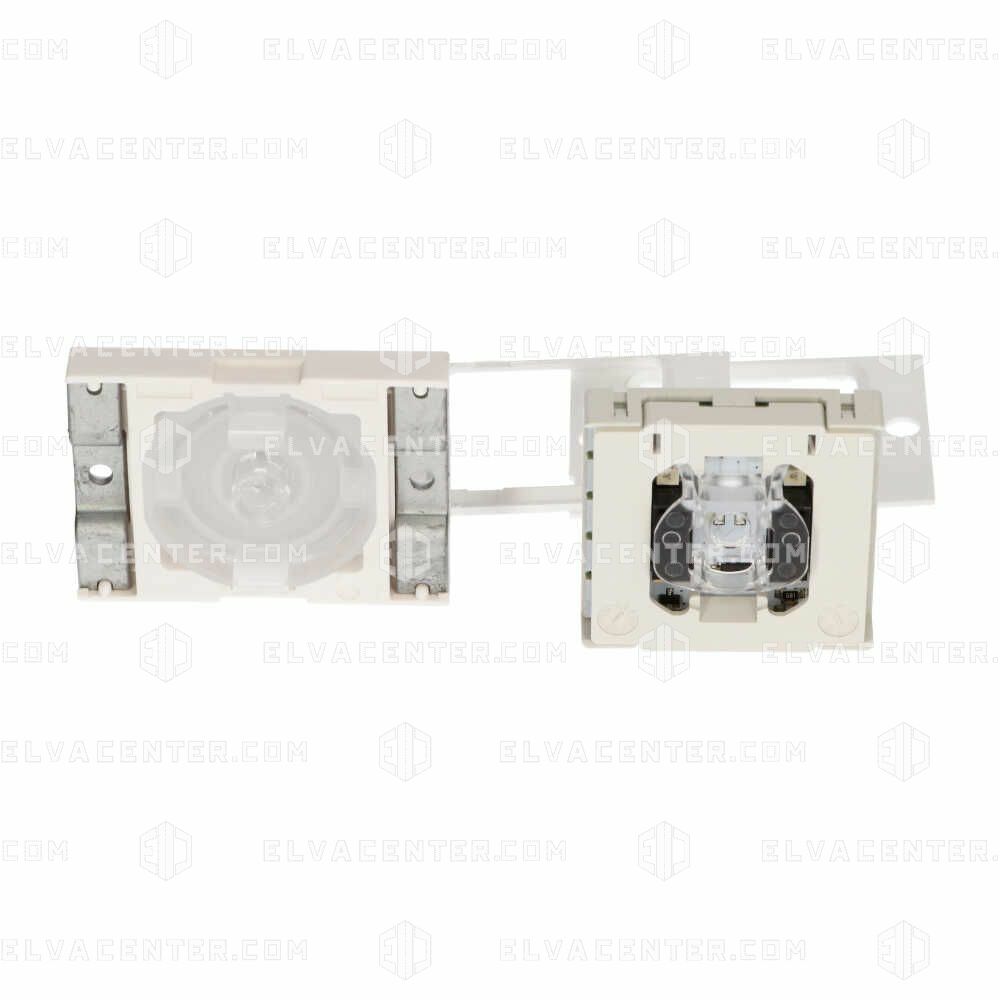 DMG, push button "Blank" Dardo flush - square - white/blue 2 mini-micro switches - Shop Elvacenter