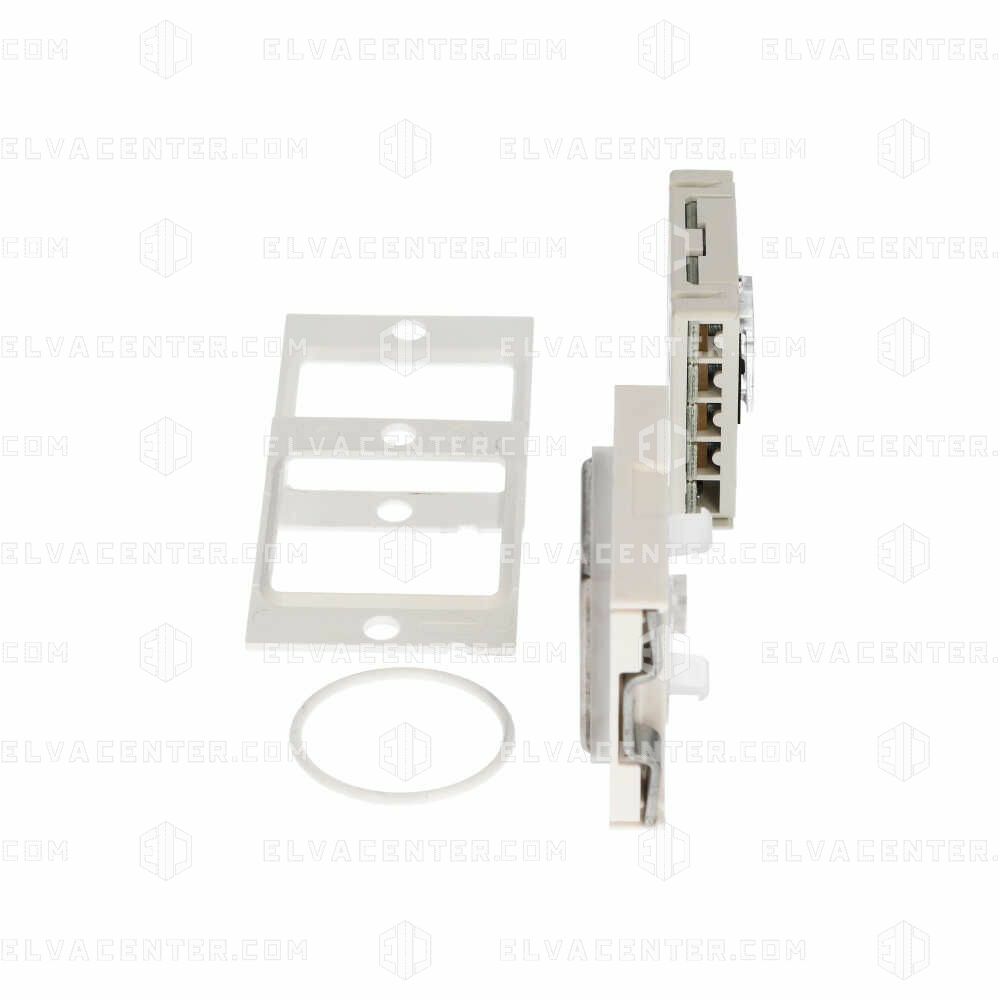 DMG, push button "Blank" Dardo flush - square - white/blue 2 mini-micro switches - Shop Elvacenter