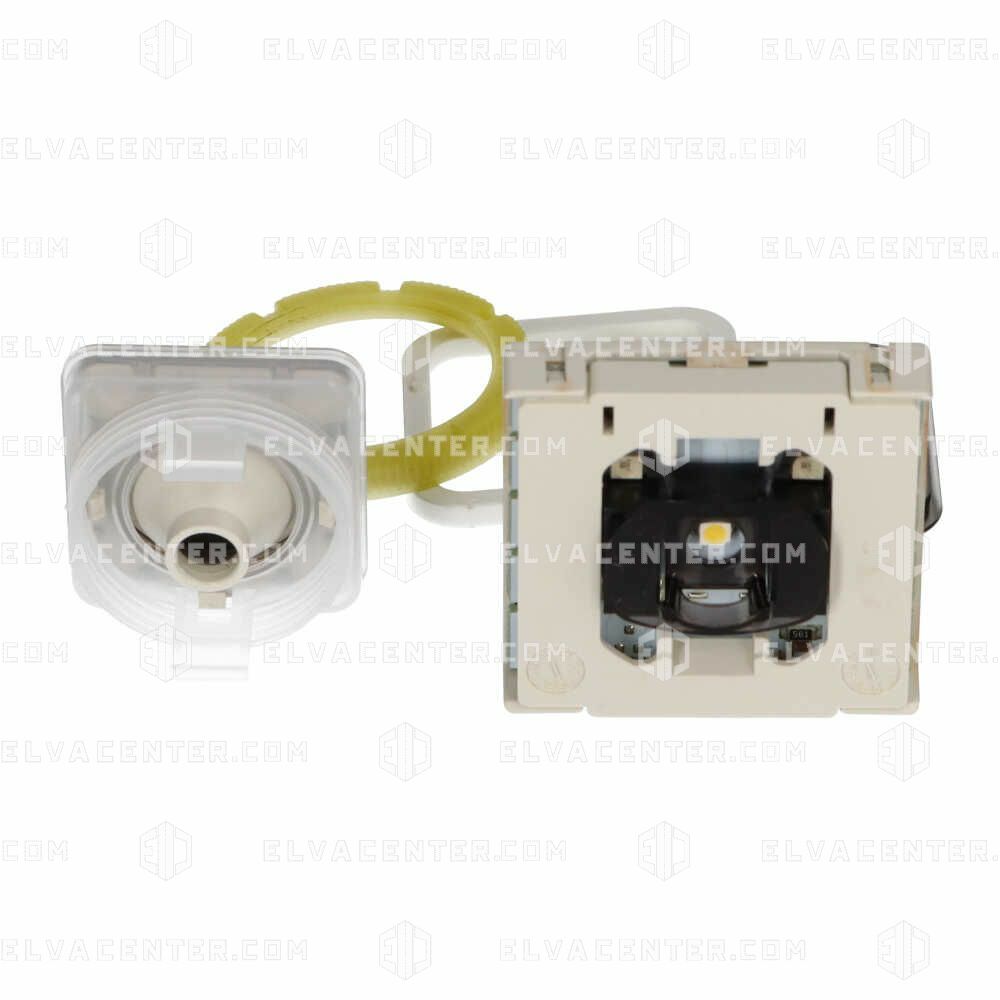 DMG, push button "-4" Dual light - square - white/blue - 2 mini-micro ...