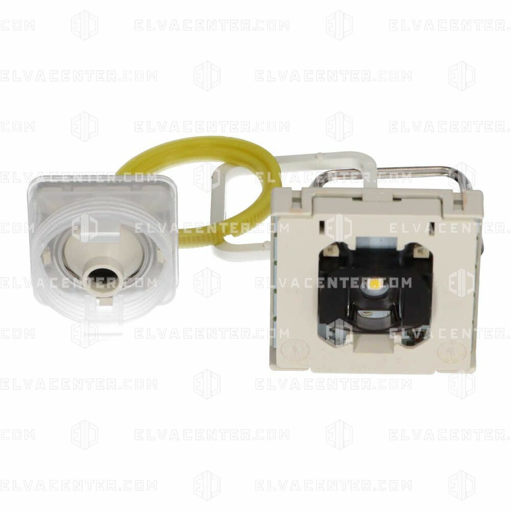 DMG, push button "4" Dual light - square - white/blue - 2 mini-micro ...