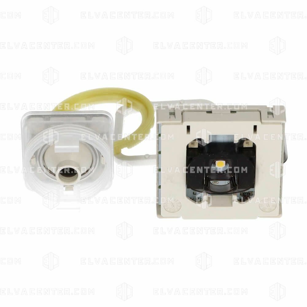 DMG, push button "11" Dual light - square - white/blue - 2 mini-micro ...